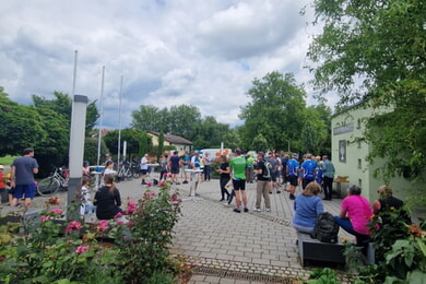 Ilsfeld - Startseite