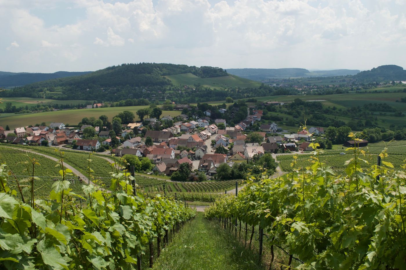 Ilsfeld - Helfenberg